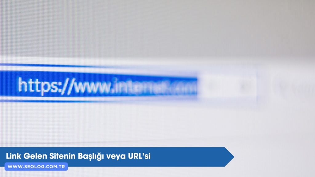 Aynı IP Bloğundan Gelen Backlinkler ve SEO Etkileri | SEOLOG