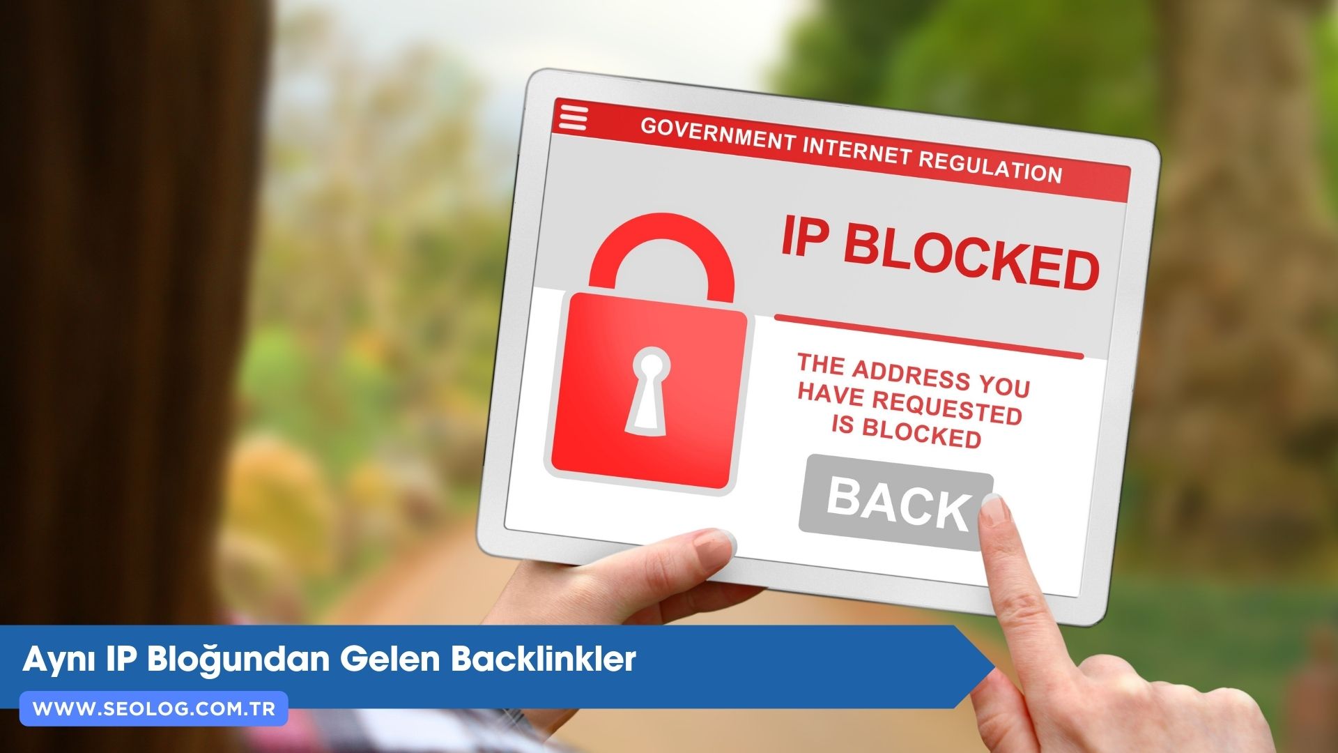 Aynı IP Bloğundan Gelen Backlinkler ve SEO Etkileri | SEOLOG